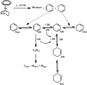 Ruthenium complexes as precursors for chemical vapor-deposition (CVD ...