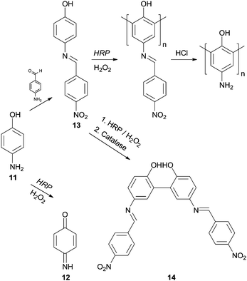Horseradish peroxidase (HRP) as a tool in green chemistry - RSC ...