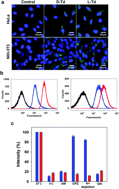 Utilizing the bioorthogonal base-pairing system of l -DNA to design ...