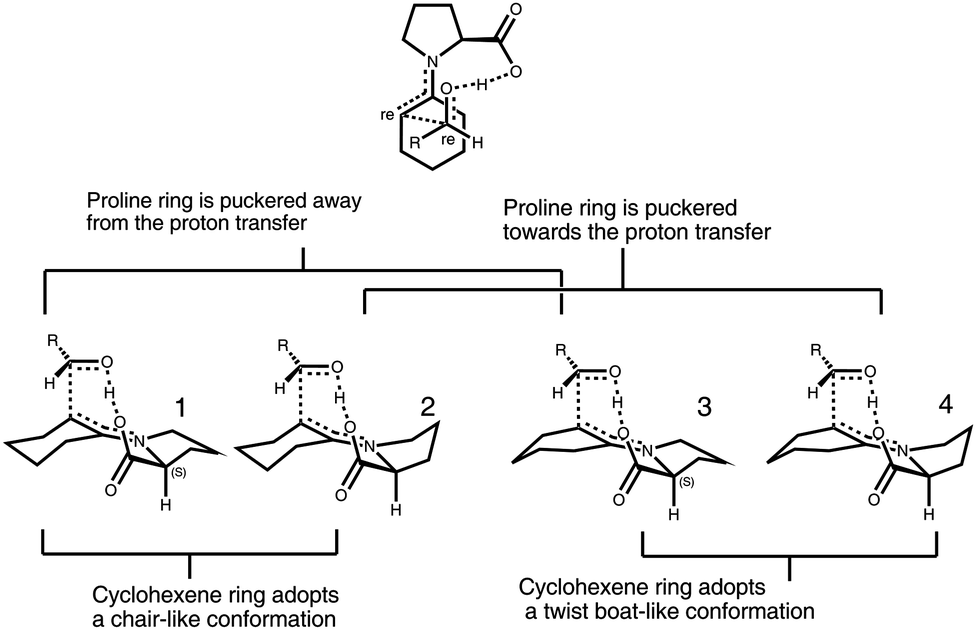The Houk–List transition states for organocatalytic mechanisms ...