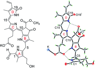 Blue transition metal complexes of a natural bilin-type chlorophyll ...