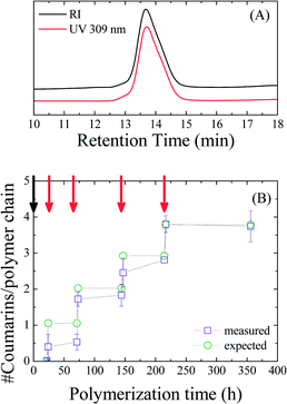 Precision polymers: a kinetic approach for functional poly(norbornenes ...