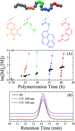 Precision polymers: a kinetic approach for functional poly(norbornenes ...