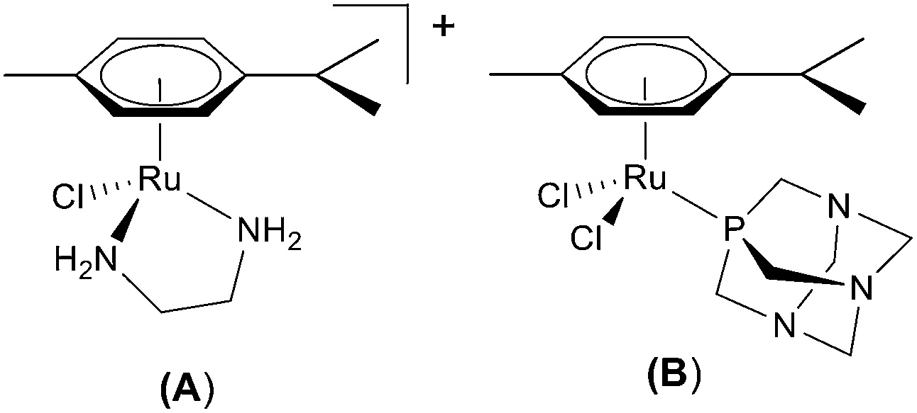 In vivo anti-tumor activity of the organometallic ruthenium( ii )-arene ...