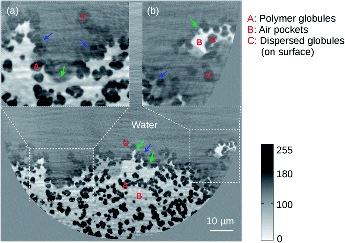 Direct three-dimensional imaging of polymer–water interfaces by ...