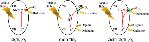 Cu( ii ) nanocluster-grafted, Nb-doped TiO 2 as an efficient visible ...