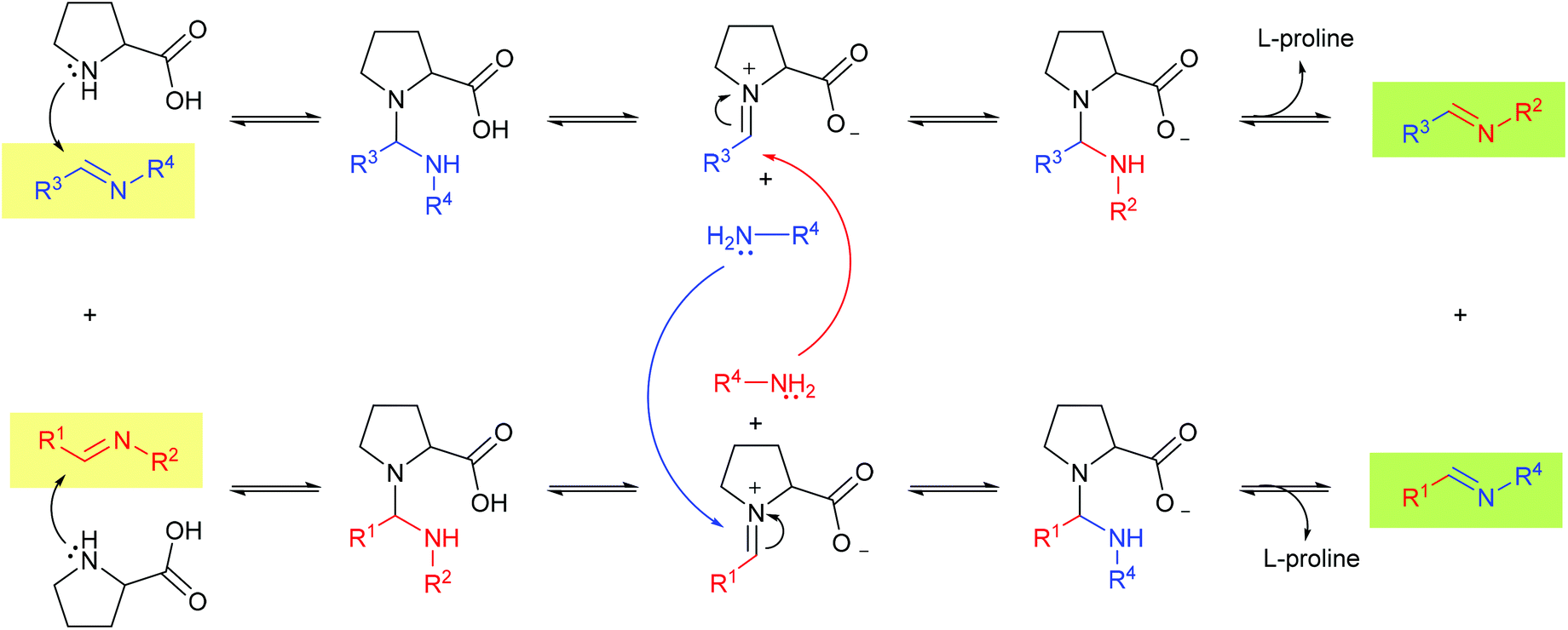 Imine Hydrolysis