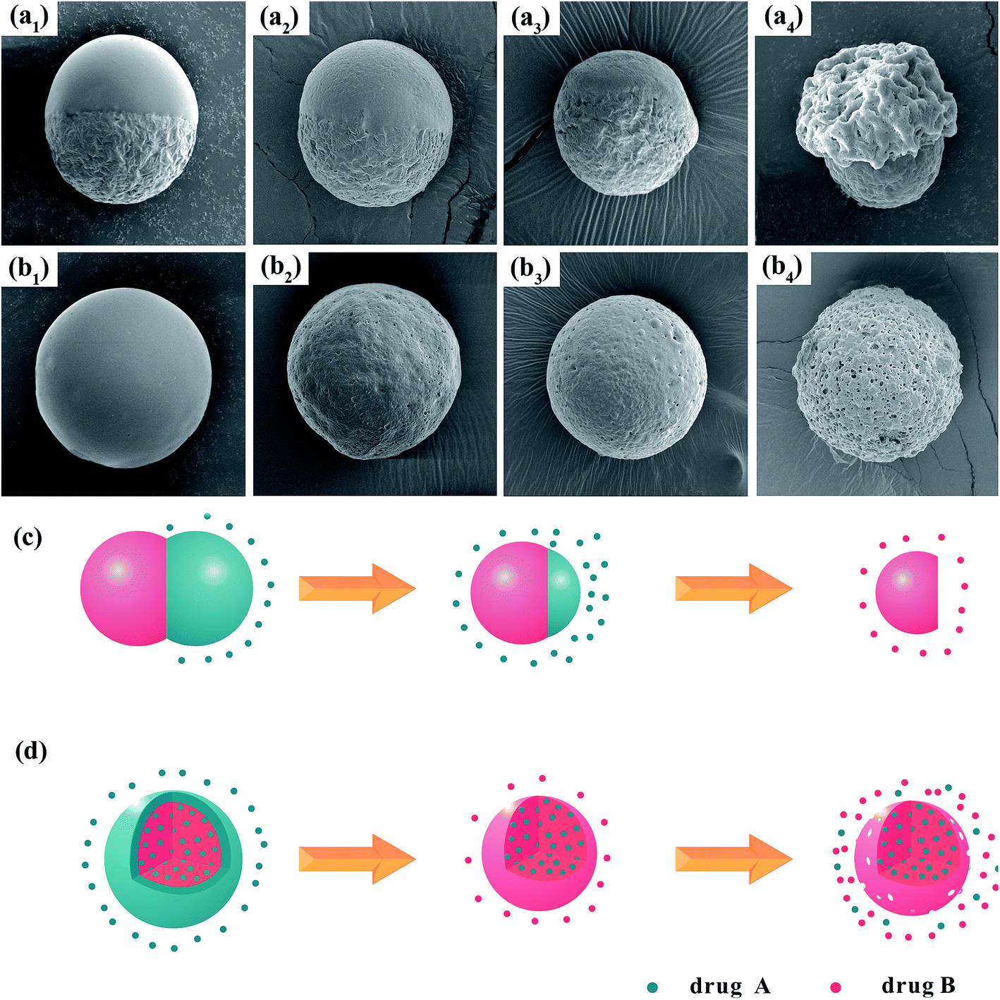 Controllable microfluidic fabrication of Janus and microcapsule ...