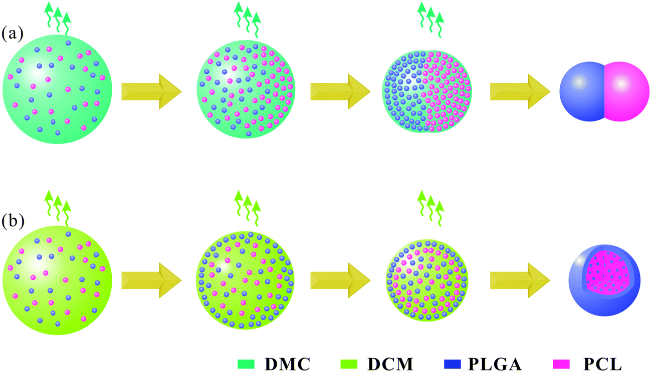 Controllable microfluidic fabrication of Janus and microcapsule ...
