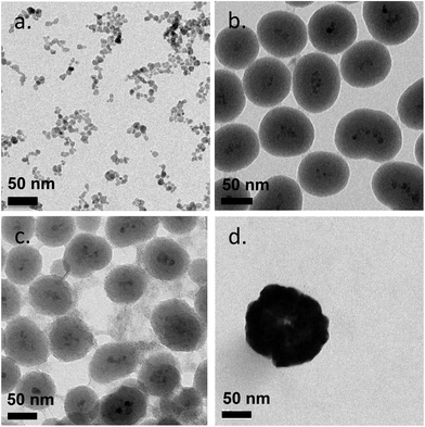 Significance of surface charge and shell material of superparamagnetic ...