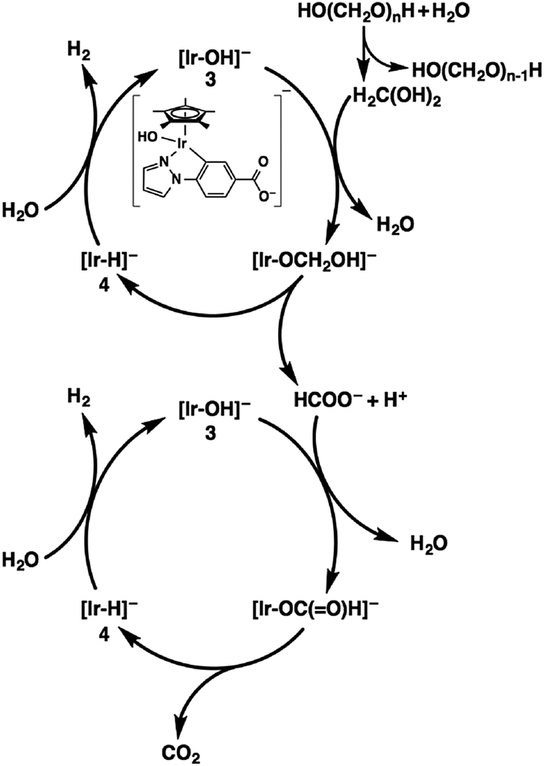 Catalytic hydrogen production from paraformaldehyde and water using an ...
