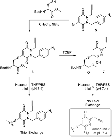A mild TCEP-based para -azidobenzyl cleavage strategy to transform ...