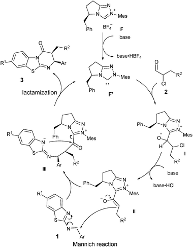 Regio- and stereoselective synthesis of benzothiazolo-pyrimidinones via ...
