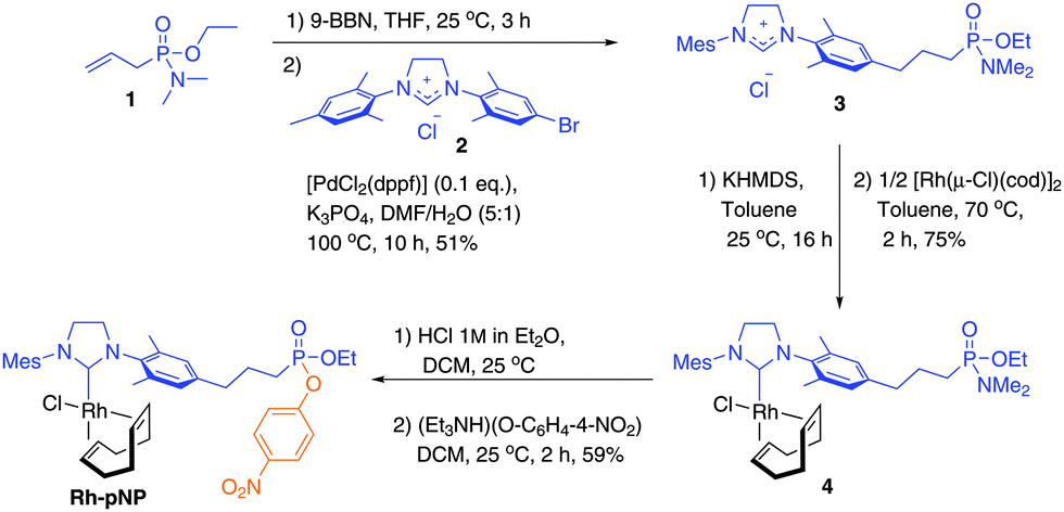 Lipase active site covalent anchoring of Rh(NHC) catalysts: towards ...