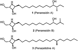 A concise route to the highly-functionalized azetidine precursor: the ...