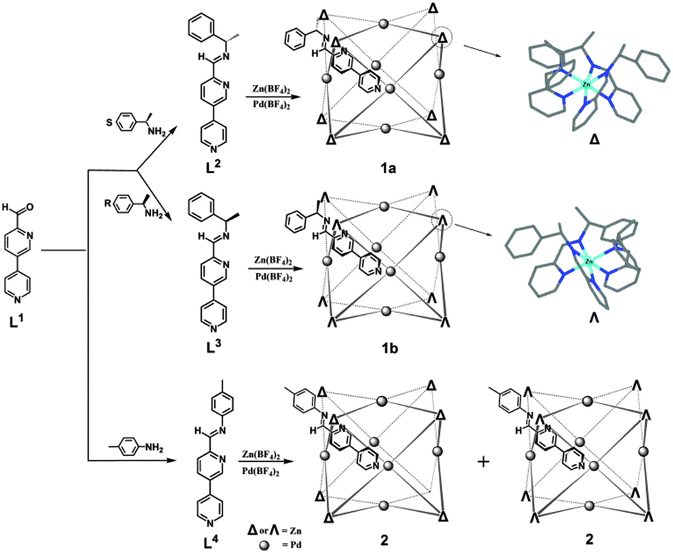 Diastereoselective synthesis of O symmetric heterometallic cubic cages ...