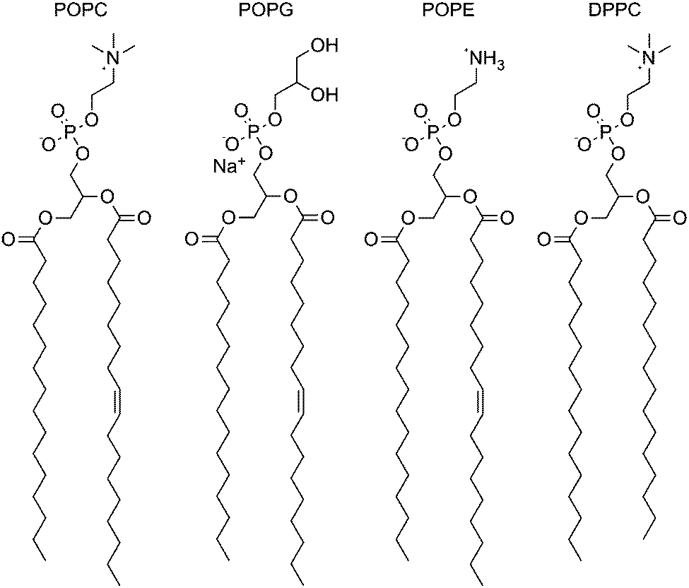 Anion transport across varying lipid membranes – the effect of ...