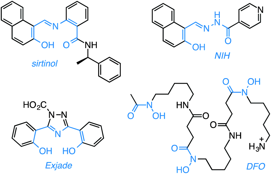 Sirtuin inhibitor sirtinol is an intracellular iron chelator - Chemical ...