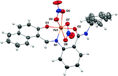 Sirtuin inhibitor sirtinol is an intracellular iron chelator - Chemical ...