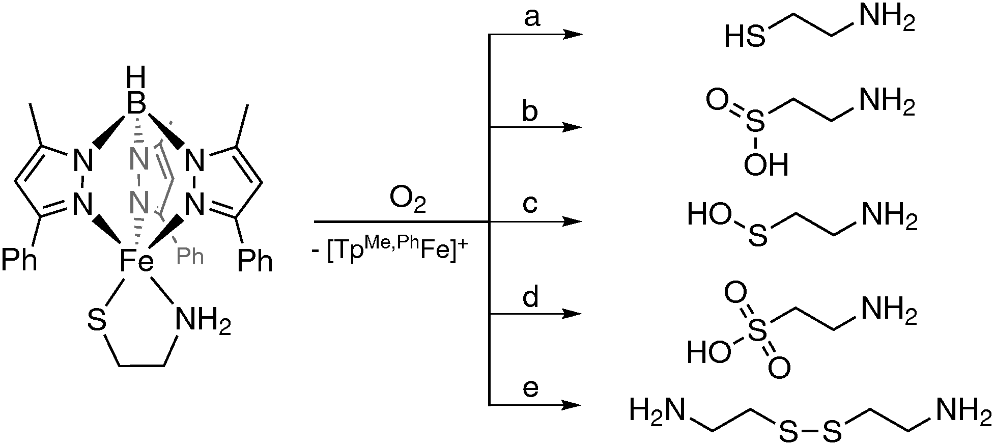 Dioxygenation of cysteamine to hypotaurine at a tris(pyrazolyl)borate ...