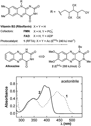 Tailoring flavins for visible light photocatalysis: organocatalytic [2 ...