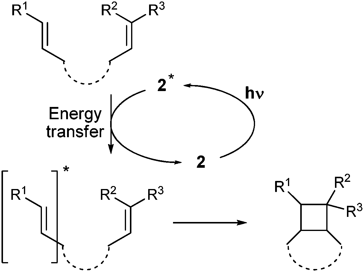 Tailoring flavins for visible light photocatalysis: organocatalytic [2 ...