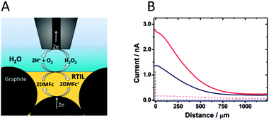 Catalysis at the room temperature ionic liquid|water interface: H 2 O 2 ...