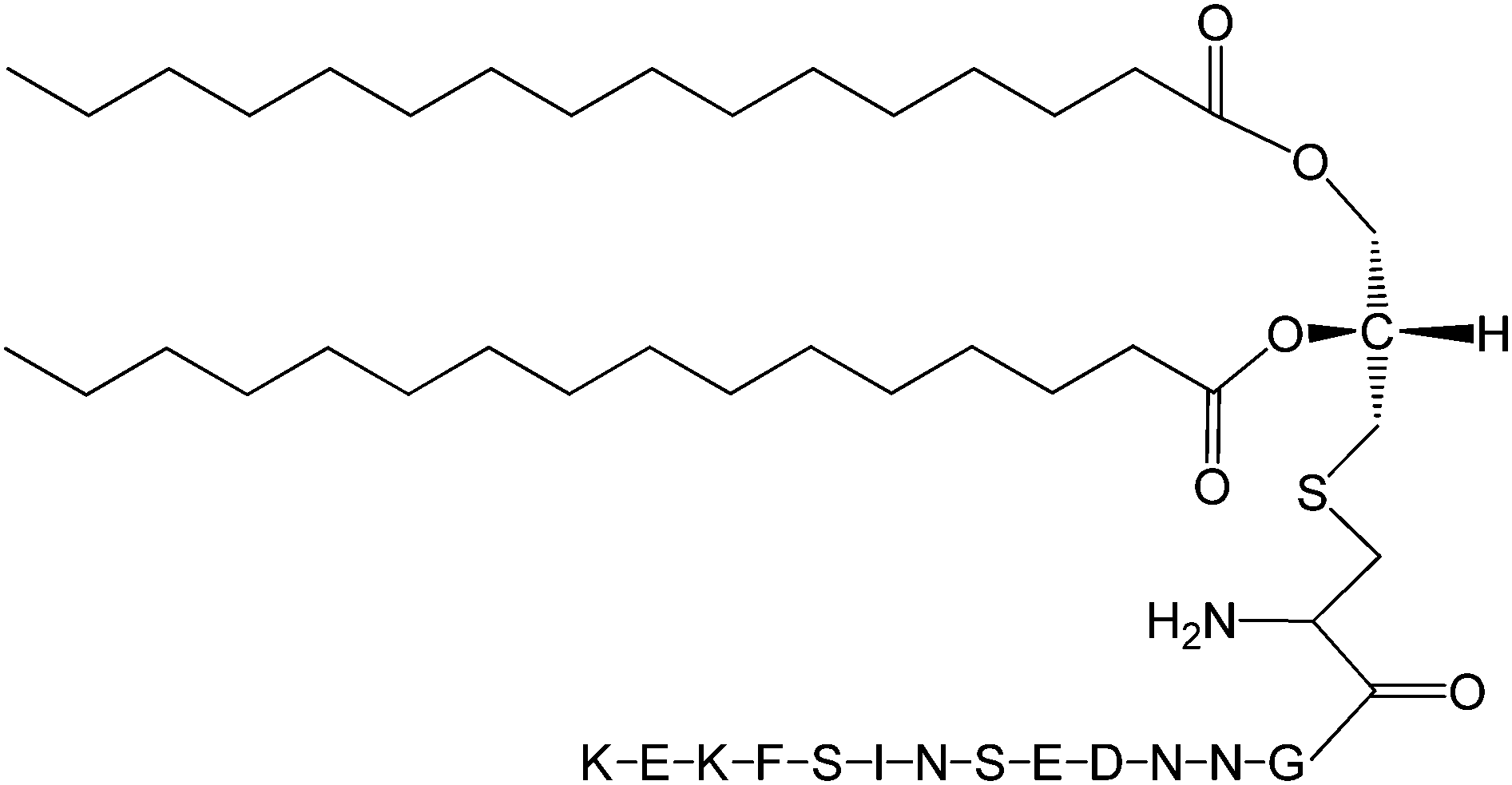 Lipopeptides: from self-assembly to bioactivity - Chemical ...