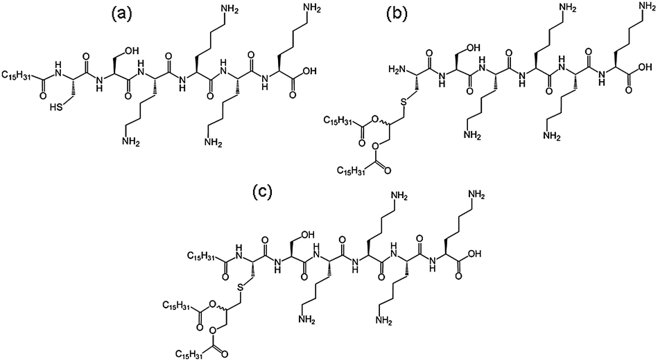 Lipopeptides: from self-assembly to bioactivity - Chemical ...