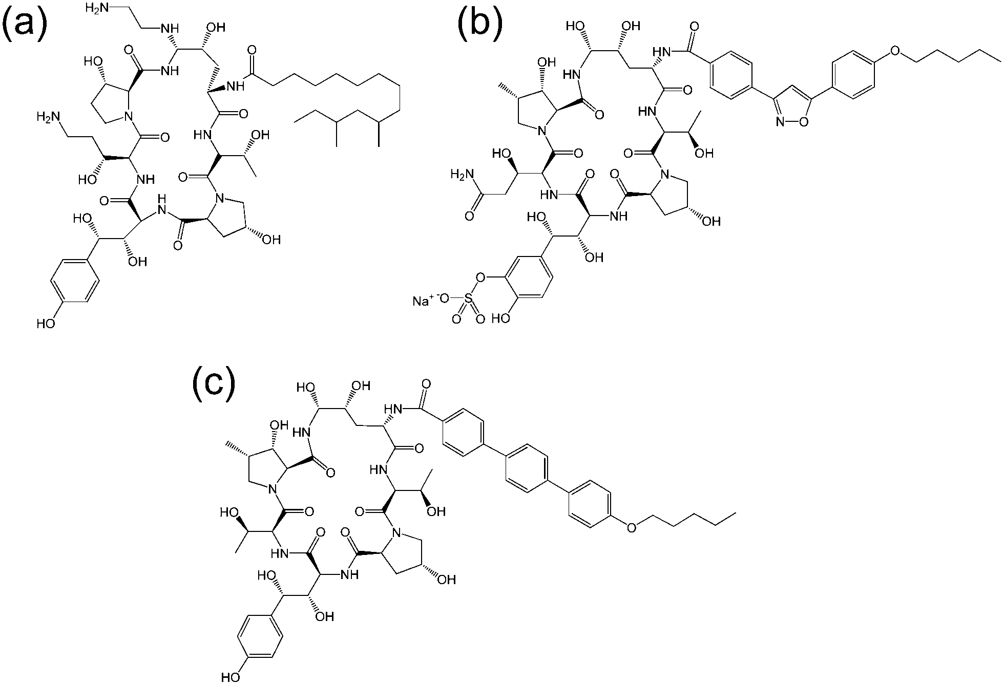 Lipopeptides: from self-assembly to bioactivity - Chemical ...