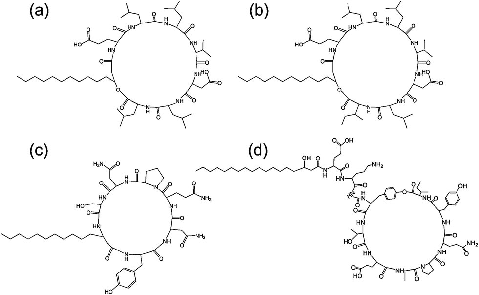Lipopeptides: from self-assembly to bioactivity - Chemical ...