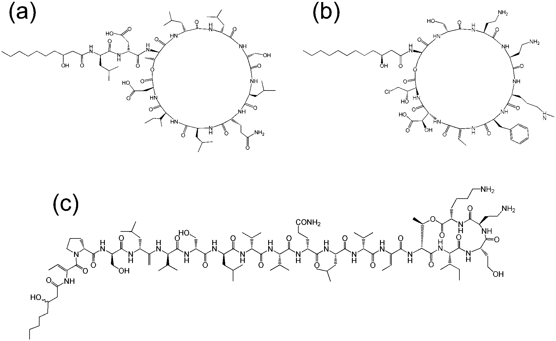 Lipopeptides: from self-assembly to bioactivity - Chemical ...