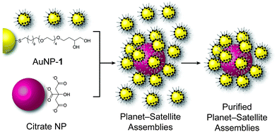 Rapid and simple preparation of remarkably stable binary nanoparticle ...