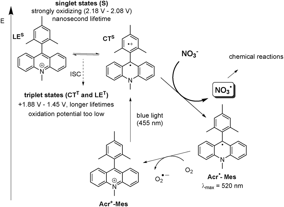 Visible light photooxidation of nitrate: the dawn of a nocturnal ...
