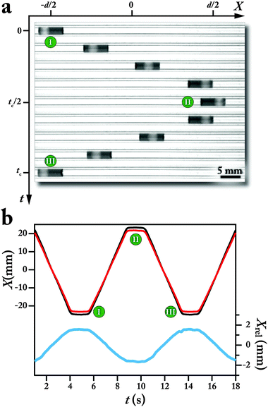 Oscillatory three-phase flow reactor for studies of bi-phasic catalytic ...
