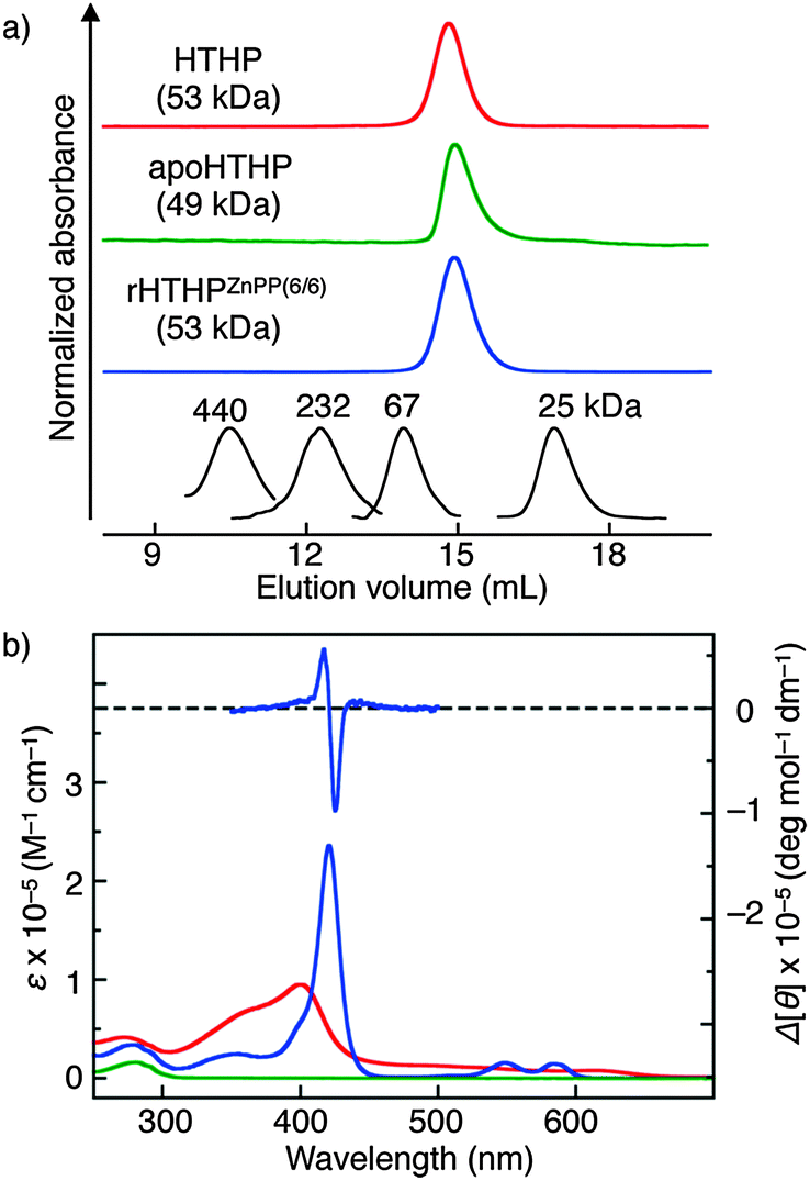 Energy migration within hexameric hemoprotein reconstituted with Zn ...
