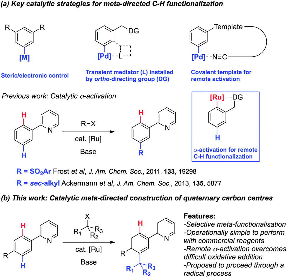Catalytic meta -selective C–H functionalization to construct quaternary carbon centres ...