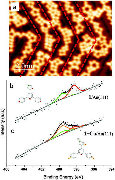 Programmed assembly of 4,2′:6′,4′′-terpyridine derivatives into porous ...