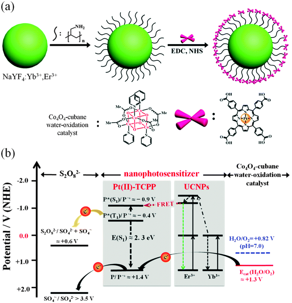 Near infrared light-driven water oxidation in a molecule-based ...