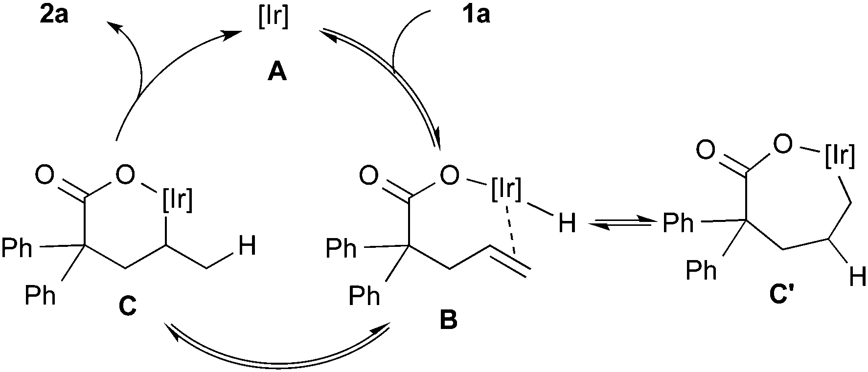 Iridium-catalyzed asymmetric cyclization of alkenoic acids leading to γ ...