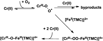 Characterization of a heterobimetallic nonheme Fe( iii )–O–Cr( iii ...