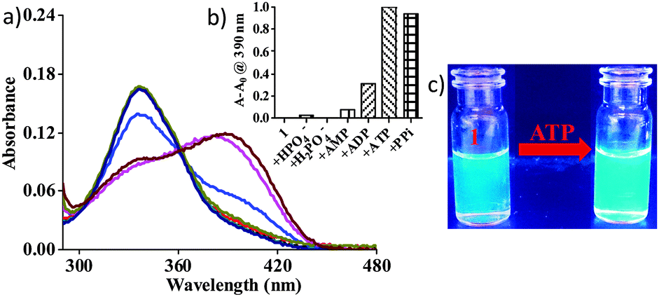 Detecting biologically relevant phosphates with locked salicylaldehyde ...