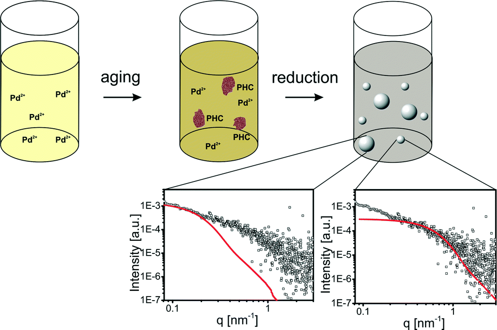 Reliable palladium nanoparticle syntheses in aqueous solution: the ...