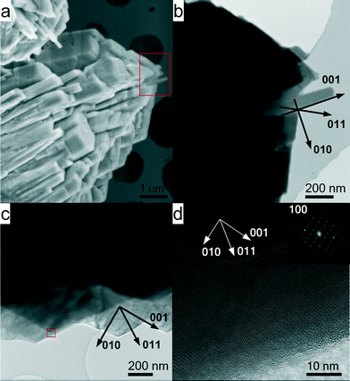 Structural evolution of aragonite superstructures obtained in the ...