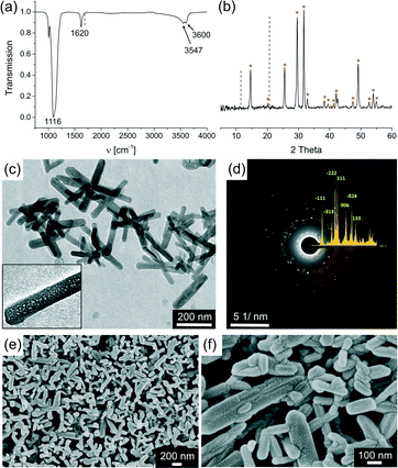 A simple strategy for the synthesis of well-defined bassanite nanorods ...