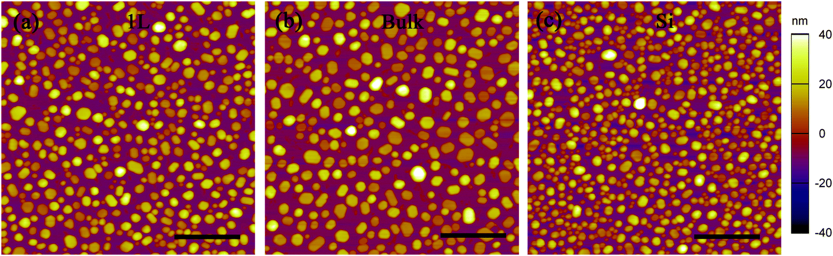 Boron nitride nanosheets as improved and reusable substrates for gold ...