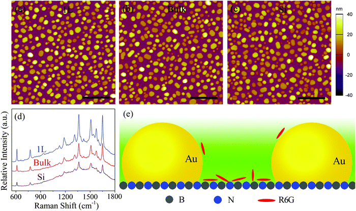 Boron nitride nanosheets as improved and reusable substrates for gold ...