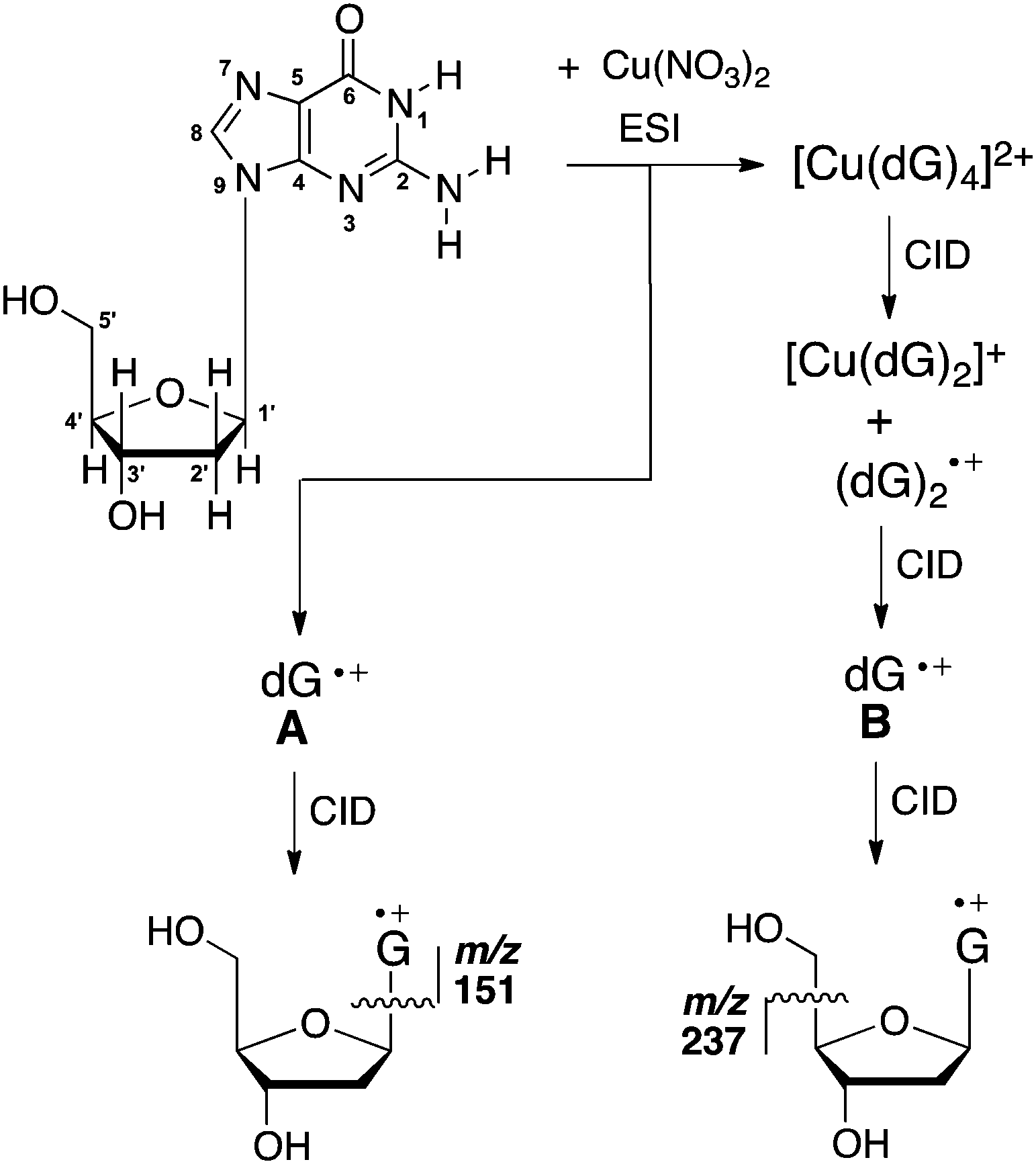 Gas-phase structure and reactivity of the keto tautomer of the ...