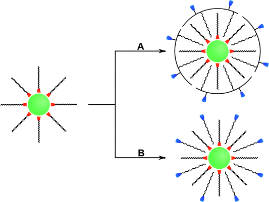 Surface modification and characterization of photon-upconverting ...