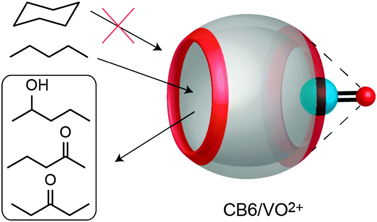 Cucurbiturils: from synthesis to high-affinity binding and catalysis ...